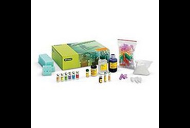 Forensic DNA Fingerprinting Kit