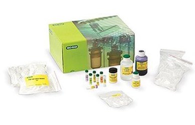 PV92 PCR Kit