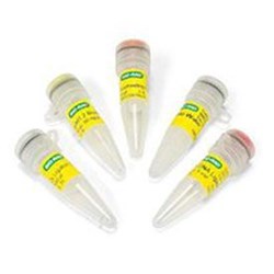 BioRad Ligation Reagents Refill | Flinn Scientific