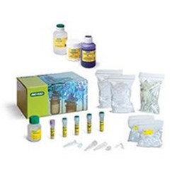 Out of the Blue CRISPR Kit