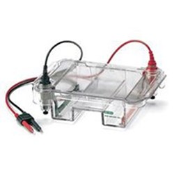 Wide Mini-Sub Cell GT System