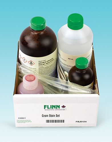 Gram Stain Set | Flinn Scientific
