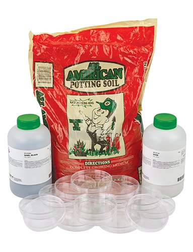 Specific Heat and Climate—Environmental Science Laboratory Kit | Flinn ...