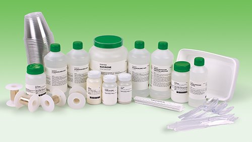 Diffusion and Osmosis—Advanced Inquiry Laboratory Kit | Flinn Scientific