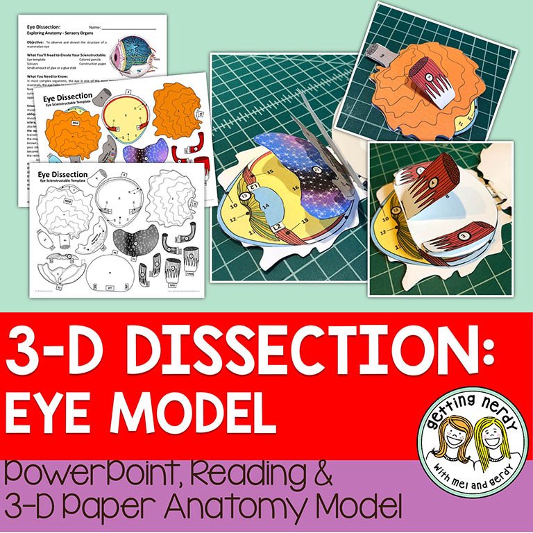 Getting Nerdy® Science—Scienstructable 3-D Dissection: Eye Model