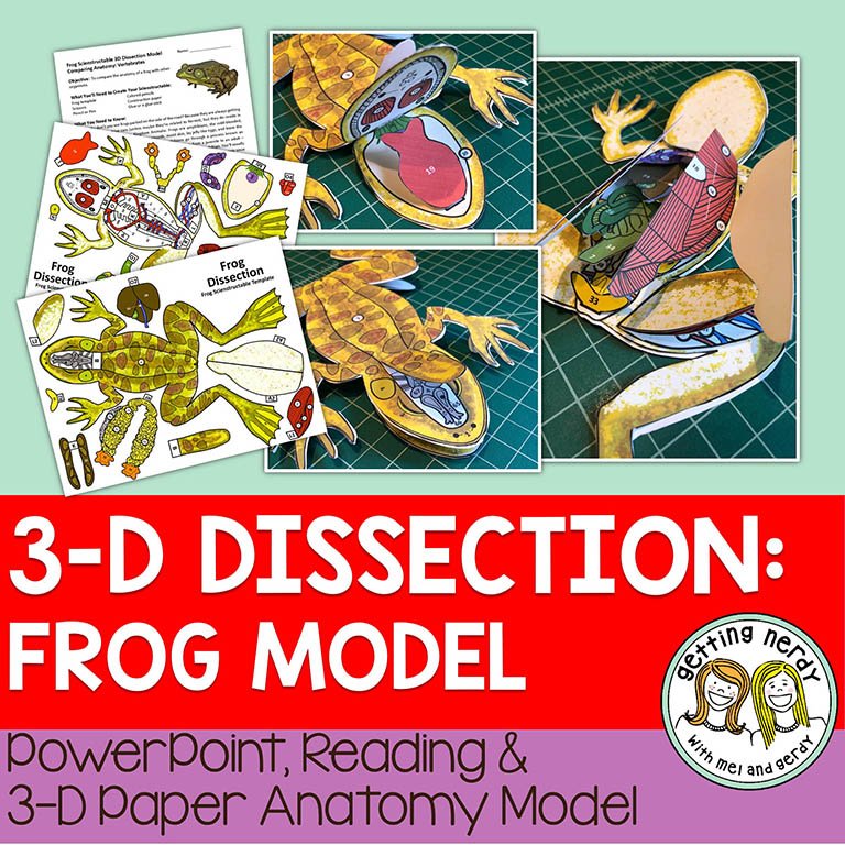 Getting Nerdy® Science—Scienstructable 3-D Dissection: Frog Model