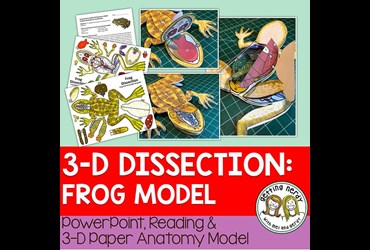 Getting Nerdy® Science—Scienstructable 3-D Dissection: Frog Model