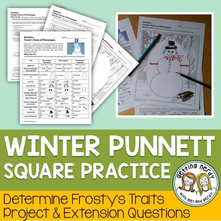 Getting Nerdy® Science—Winter Punnett Square Practice