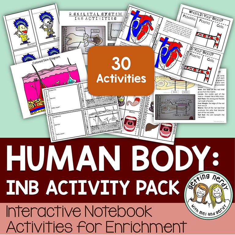 Getting Nerdy® Science—Human Body: Interactive Notebook Activity Pack
