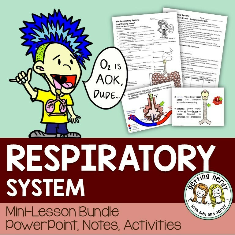 Getting Nerdy - Respiratory System Notes and Lab | Flinn Scientific