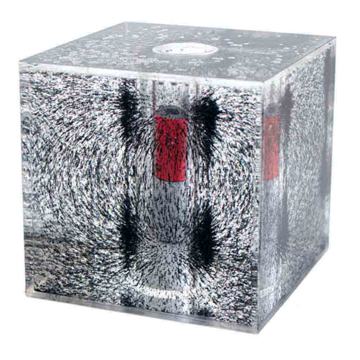 Magnetic Field Cube | Flinn Scientific