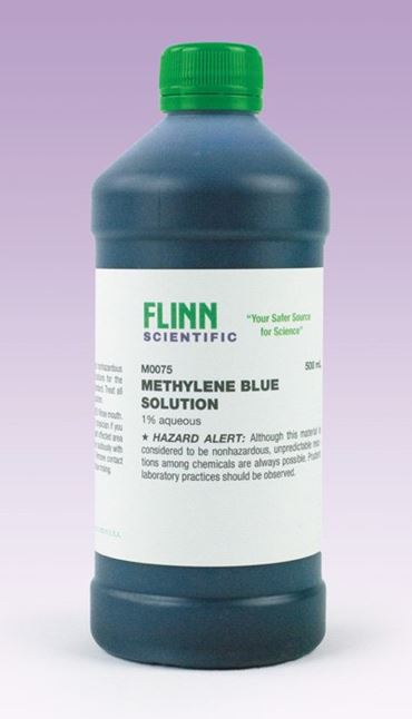Methylene Blue Solution, 1%, Aqueous, 500 mL | Flinn Scientific