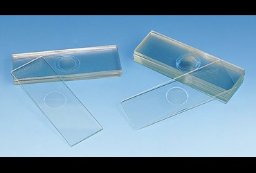 Microscope Depression Slides for Biology and Life Science
