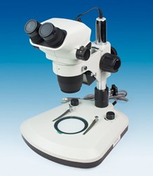 Product 17317 | Flinn Scientific