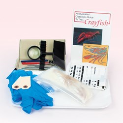 Anatomy Explorer Kits with Dissection Tools