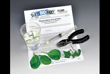 FlinnPREP™ Inquiry Labs for AP® Biology: Photosynthesis in Leaf Disks ...