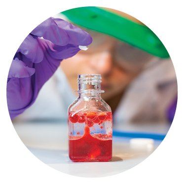 Flinn Scientific | Science Lab Equipment Supplier & Tools