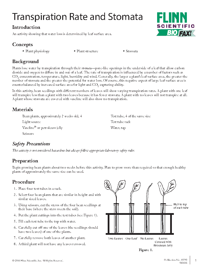 Transpiration Rate and Stomata | Flinn Scientific