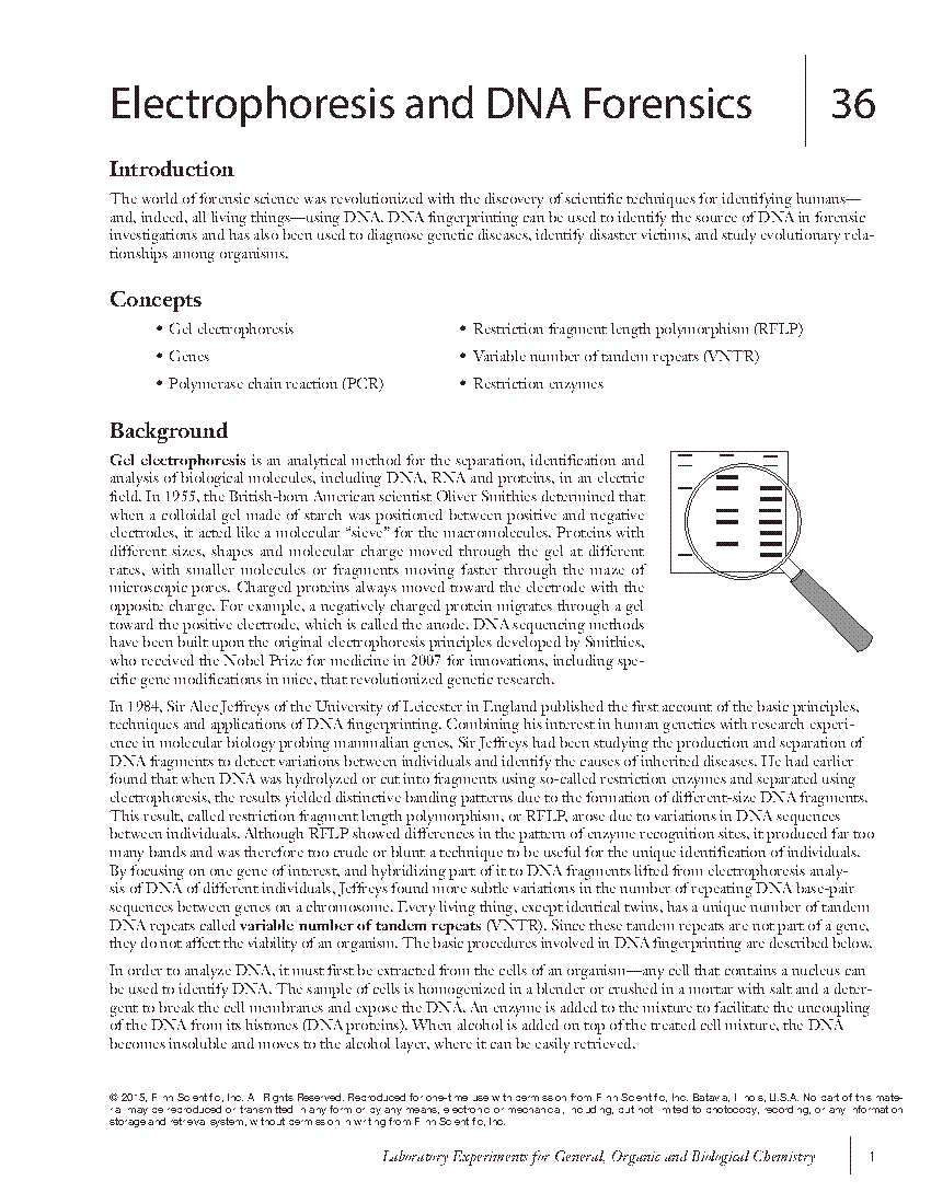 Electrophoresis and DNA Forensics Sample Lab for GOB Flinn Lab Manual