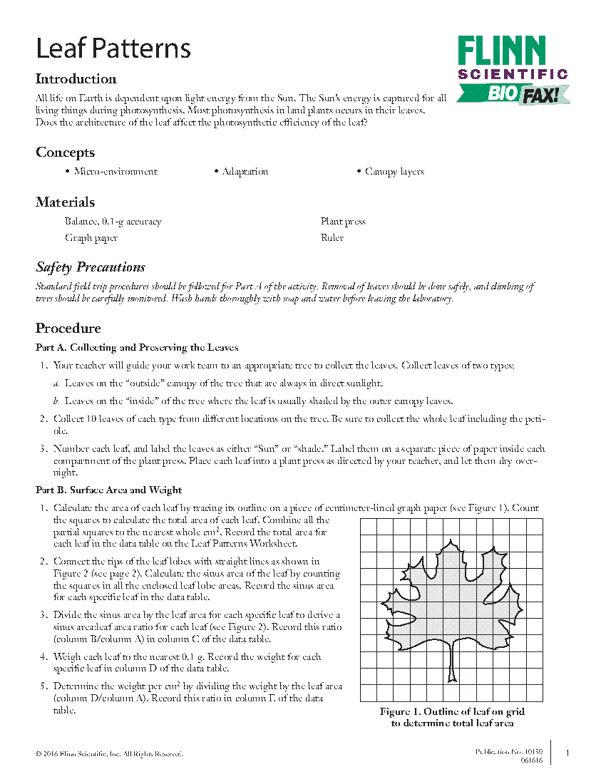 Leaf Patterns | Flinn Scientific