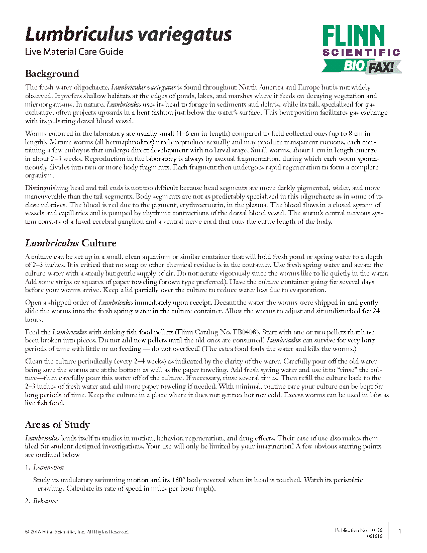Lumbriculus variegatus | Flinn Scientific