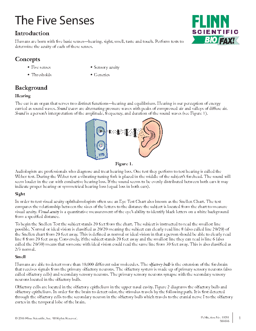 The Five Senses | Flinn Scientific