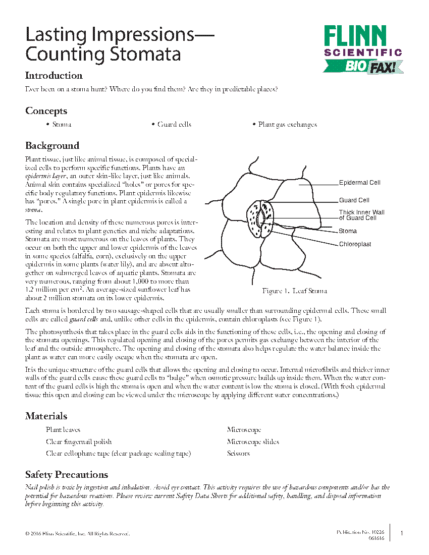 Lasting Impressions-Counting Stomata | Flinn Scientific